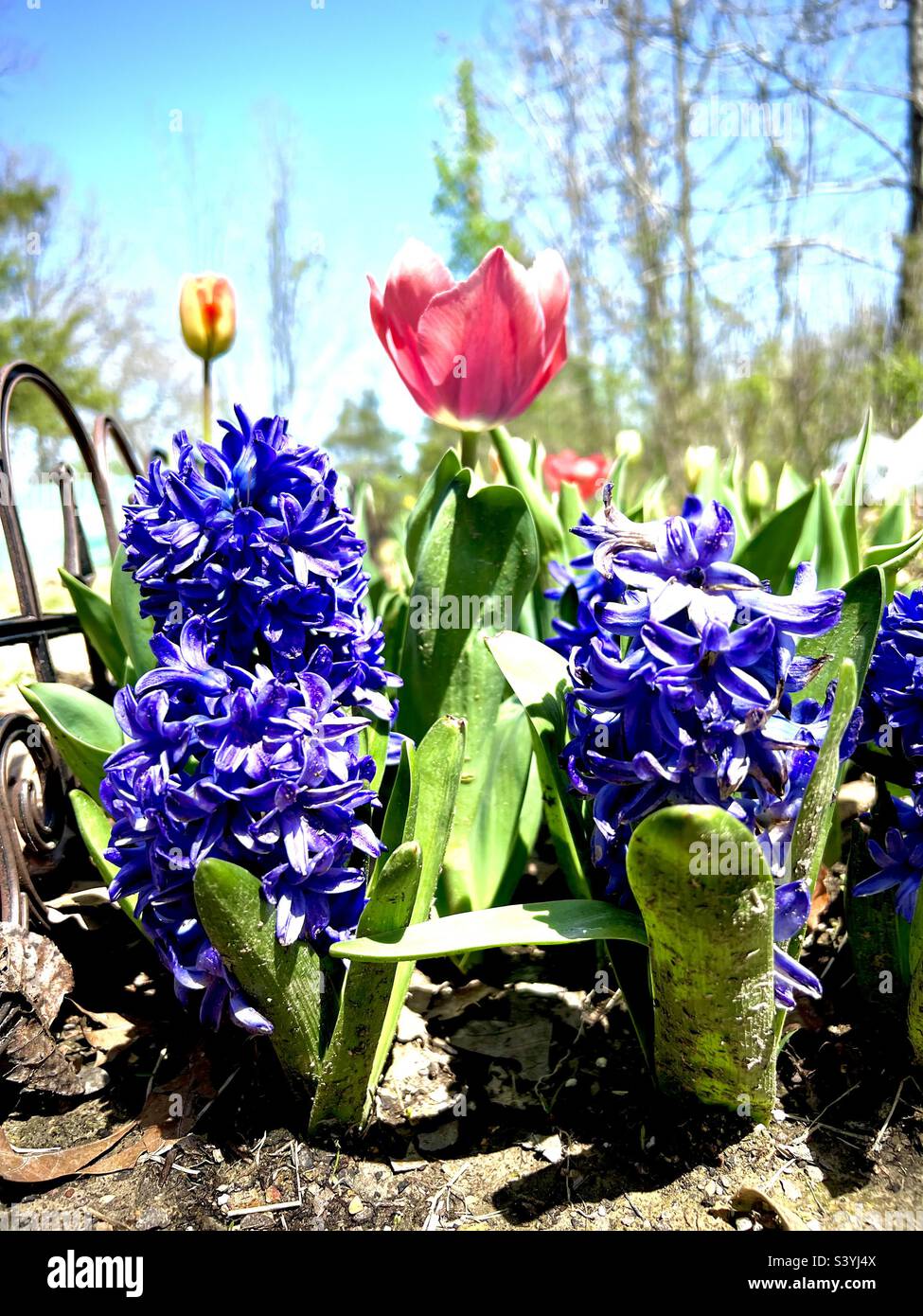 Spring time color Stock Photo - Alamy