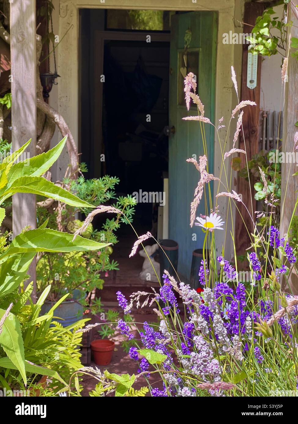 Front porch with open door hi-res stock photography and images - Alamy