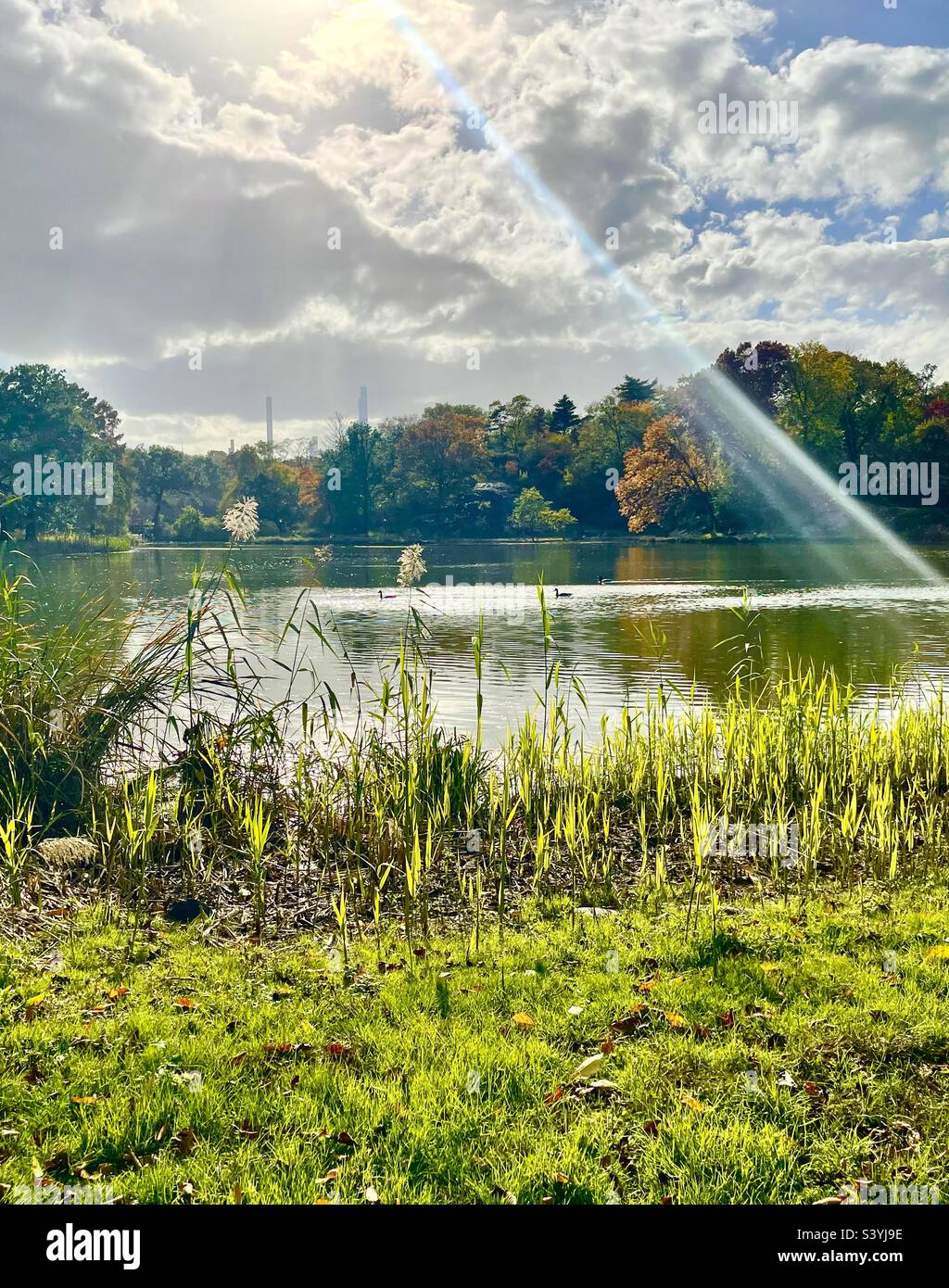 A ray of sunlight on a lake Stock Photo - Alamy