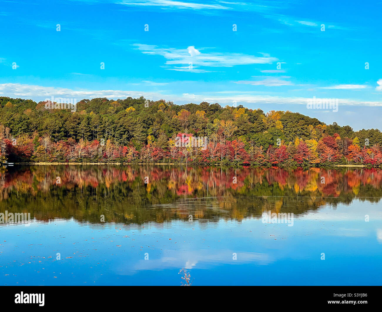 Sweetwater Creek state park Georgia Stock Photo - Alamy
