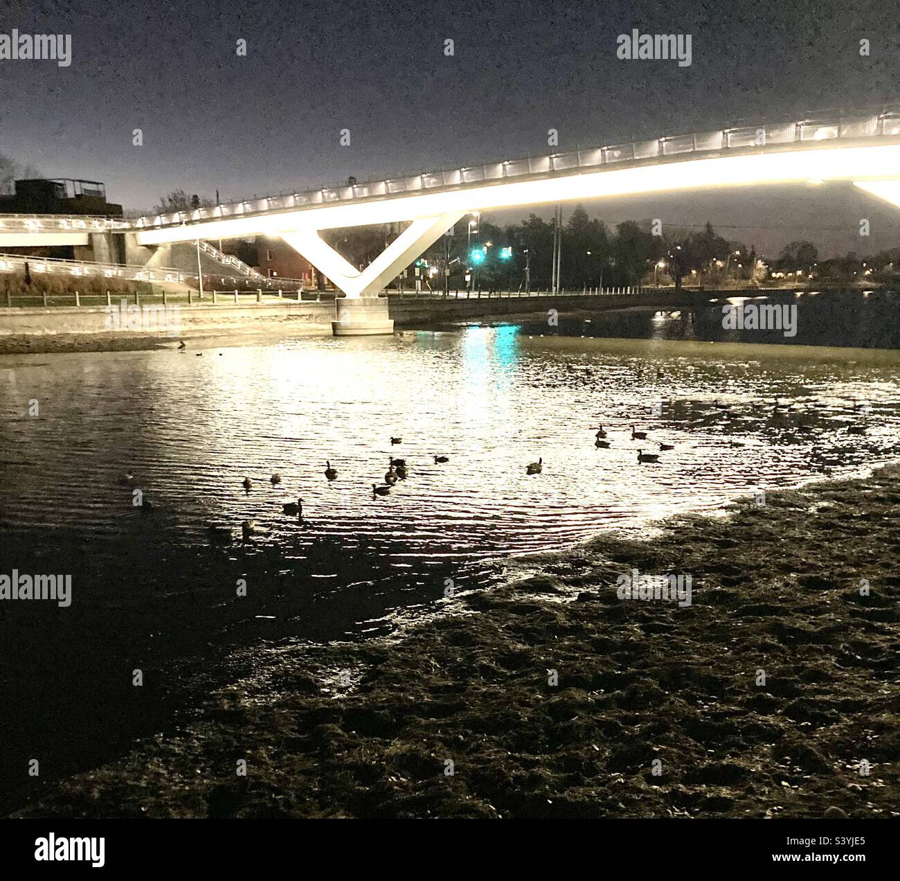 Early morning capture of the Flora footbridge Stock Photo - Alamy