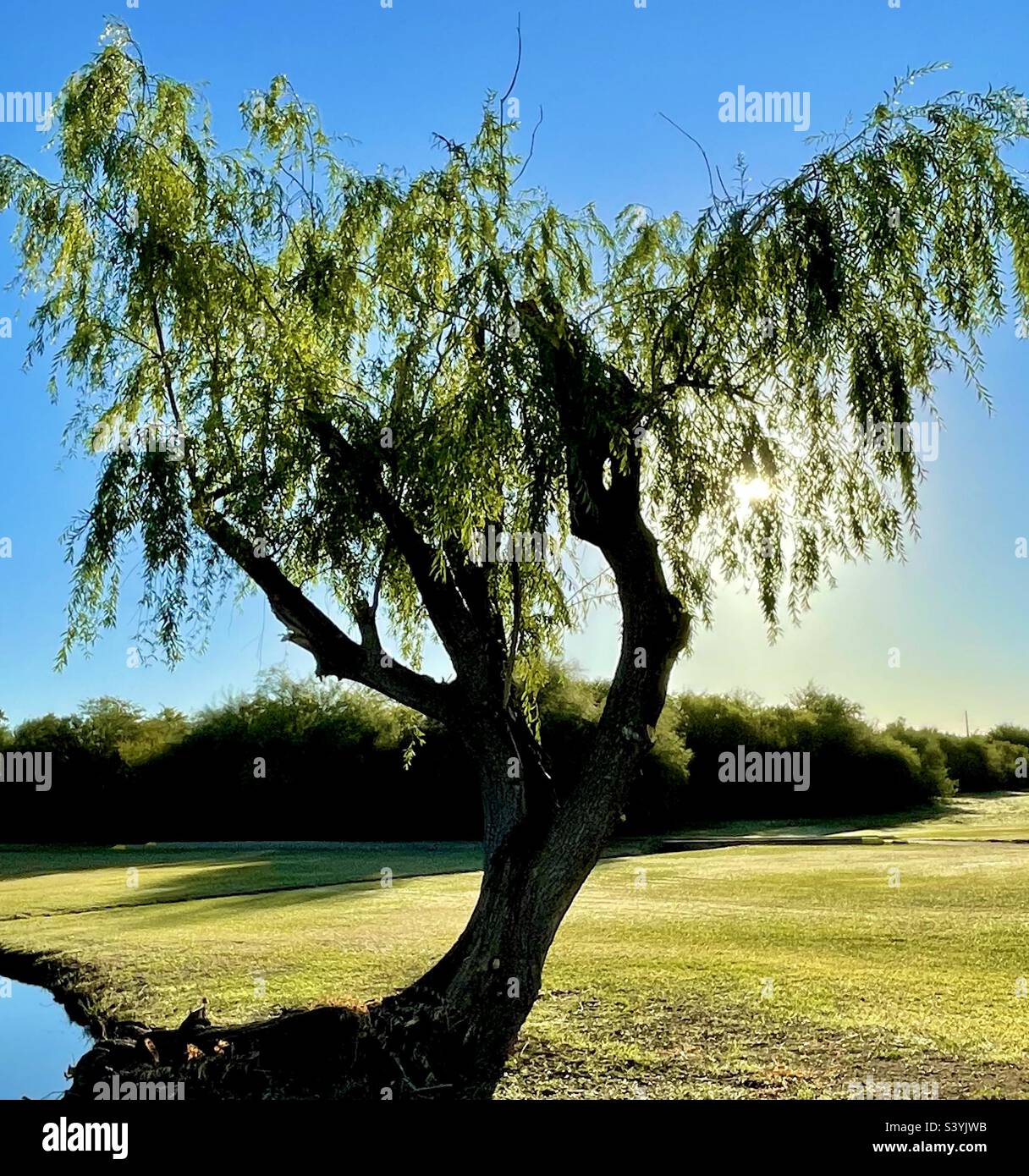 Graceful angles and curves hi-res stock photography and images - Alamy