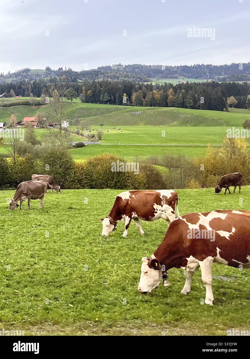 Swiss countryside hi-res stock photography and images - Alamy