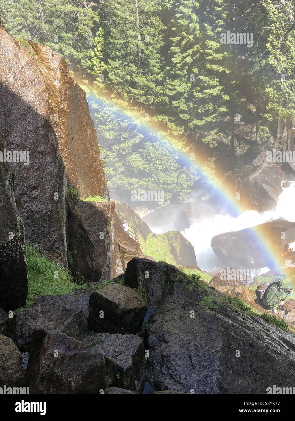 Rainbow with trees hi-res stock photography and images - Alamy