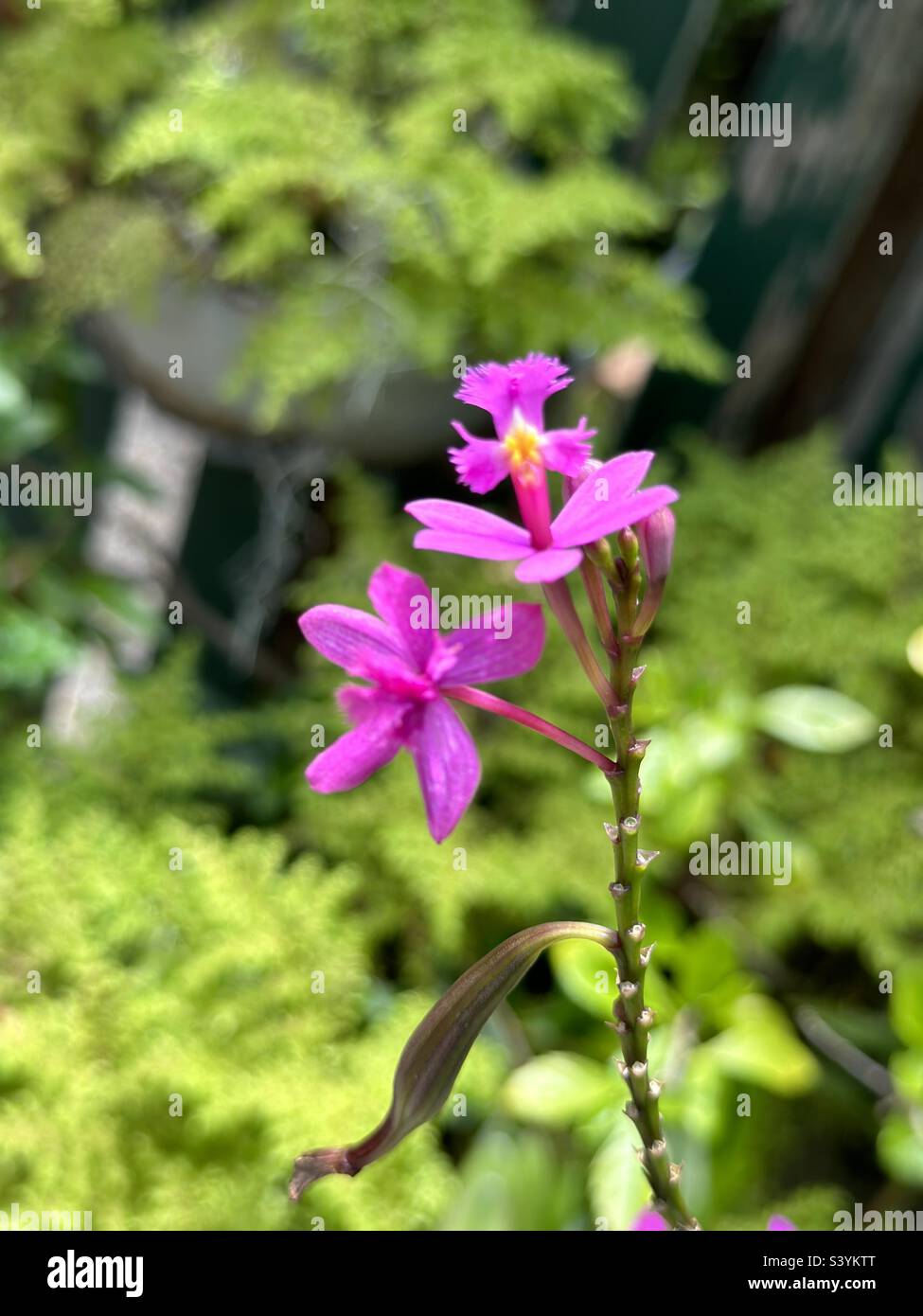 Blessing and blessings hi-res stock photography and images - Alamy