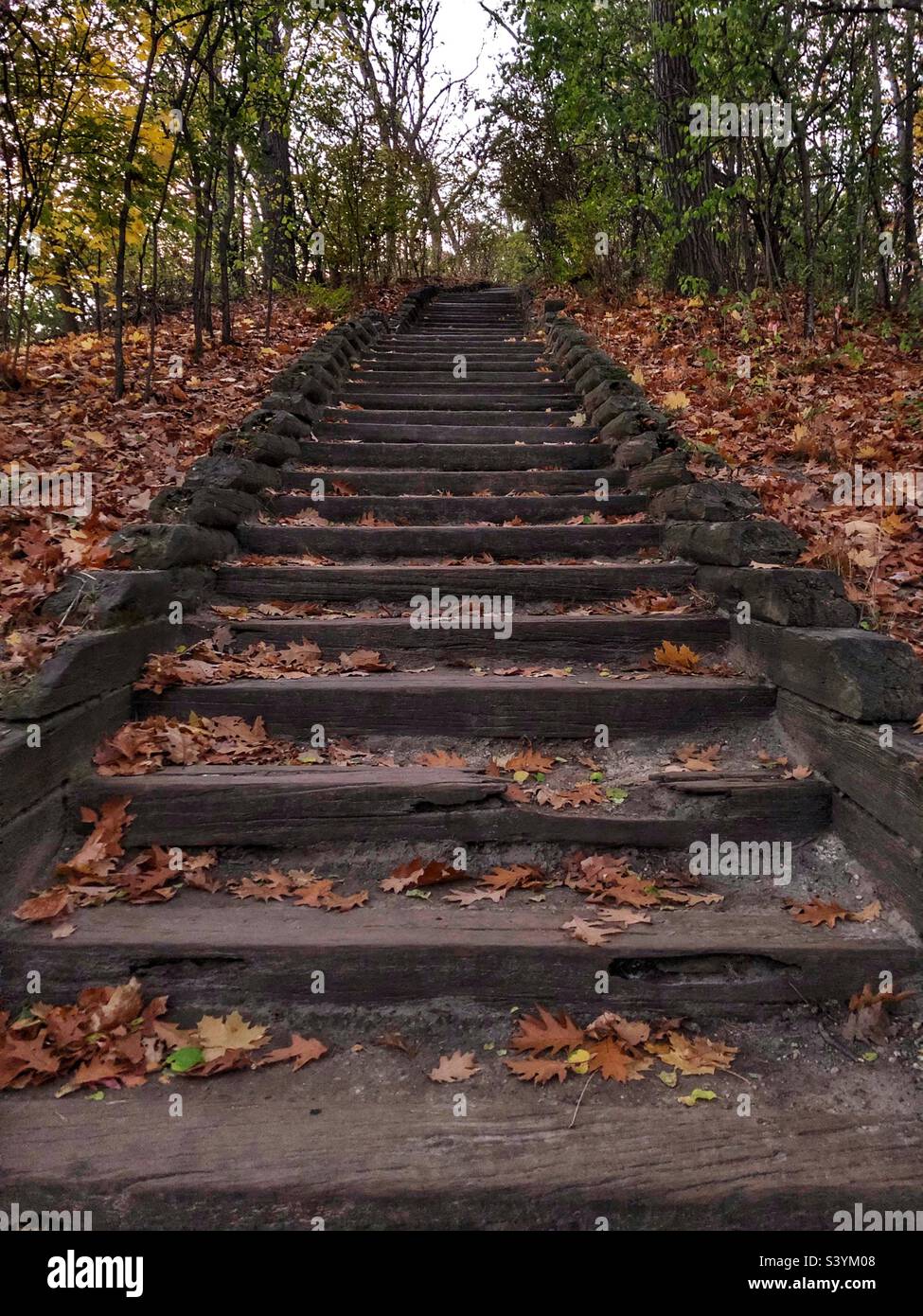 Wooden stairs in the park Stock Photo - Alamy