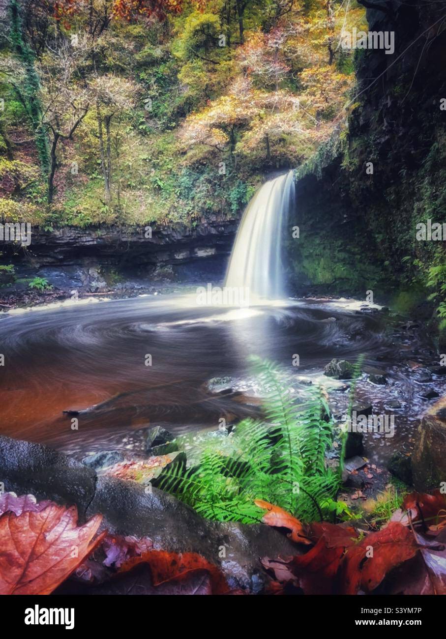 Pyrddin river hi-res stock photography and images - Alamy