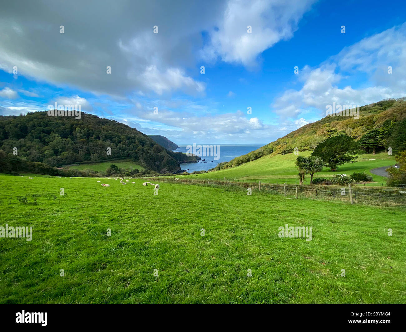 North europe coast smartphone stock photos and images - Alamy