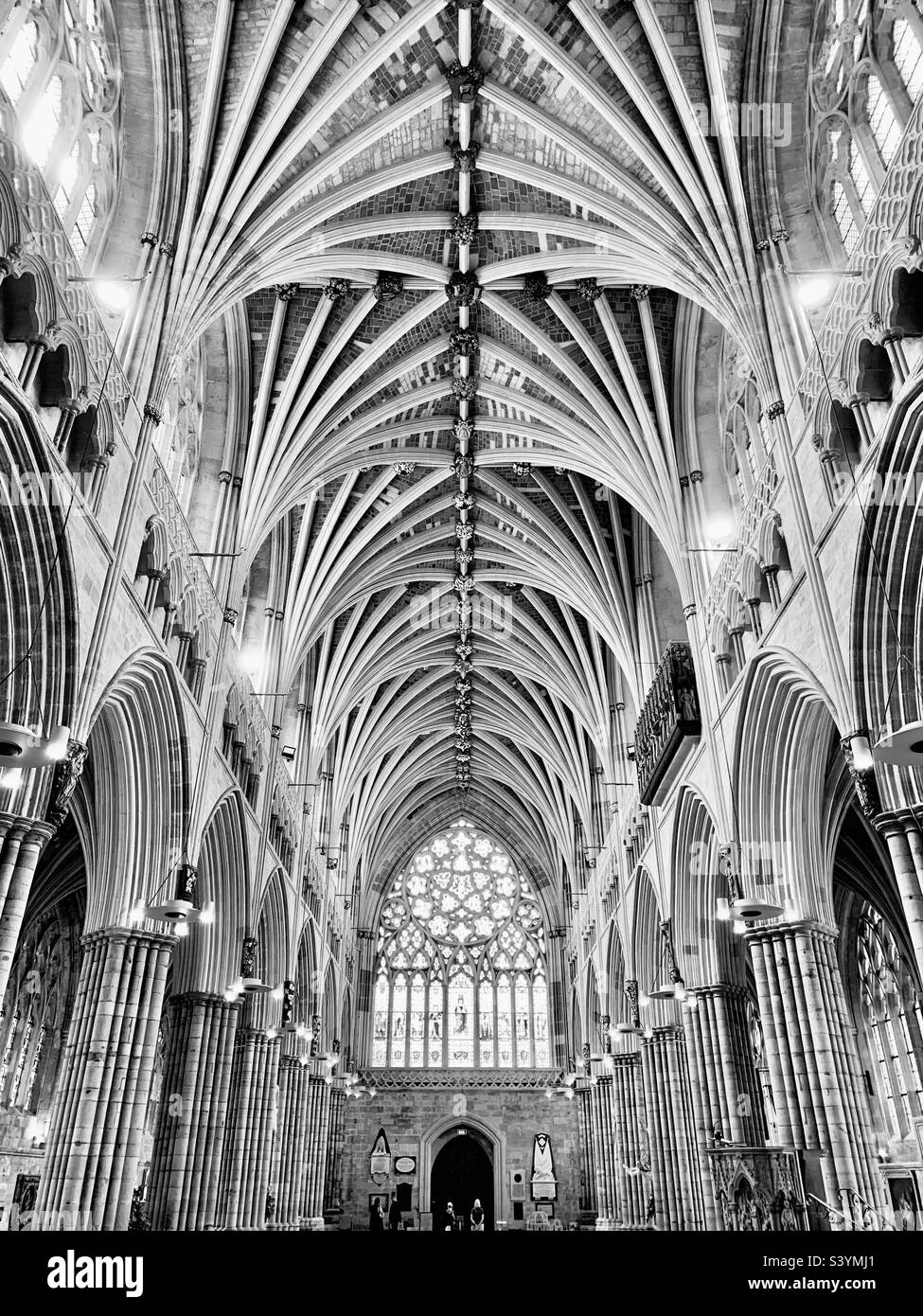 Magnificent black and white interior of Exeter cathedral featuring the ...