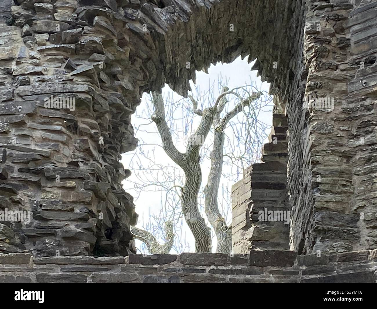 View from a castle window Stock Photo - Alamy