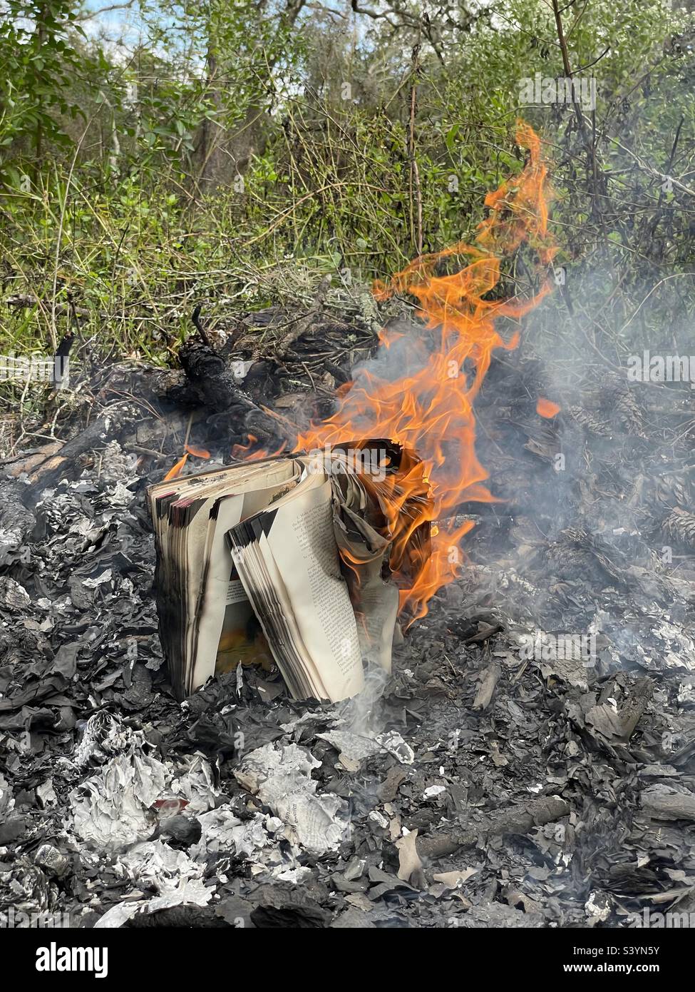 Book burning hi-res stock photography and images - Alamy