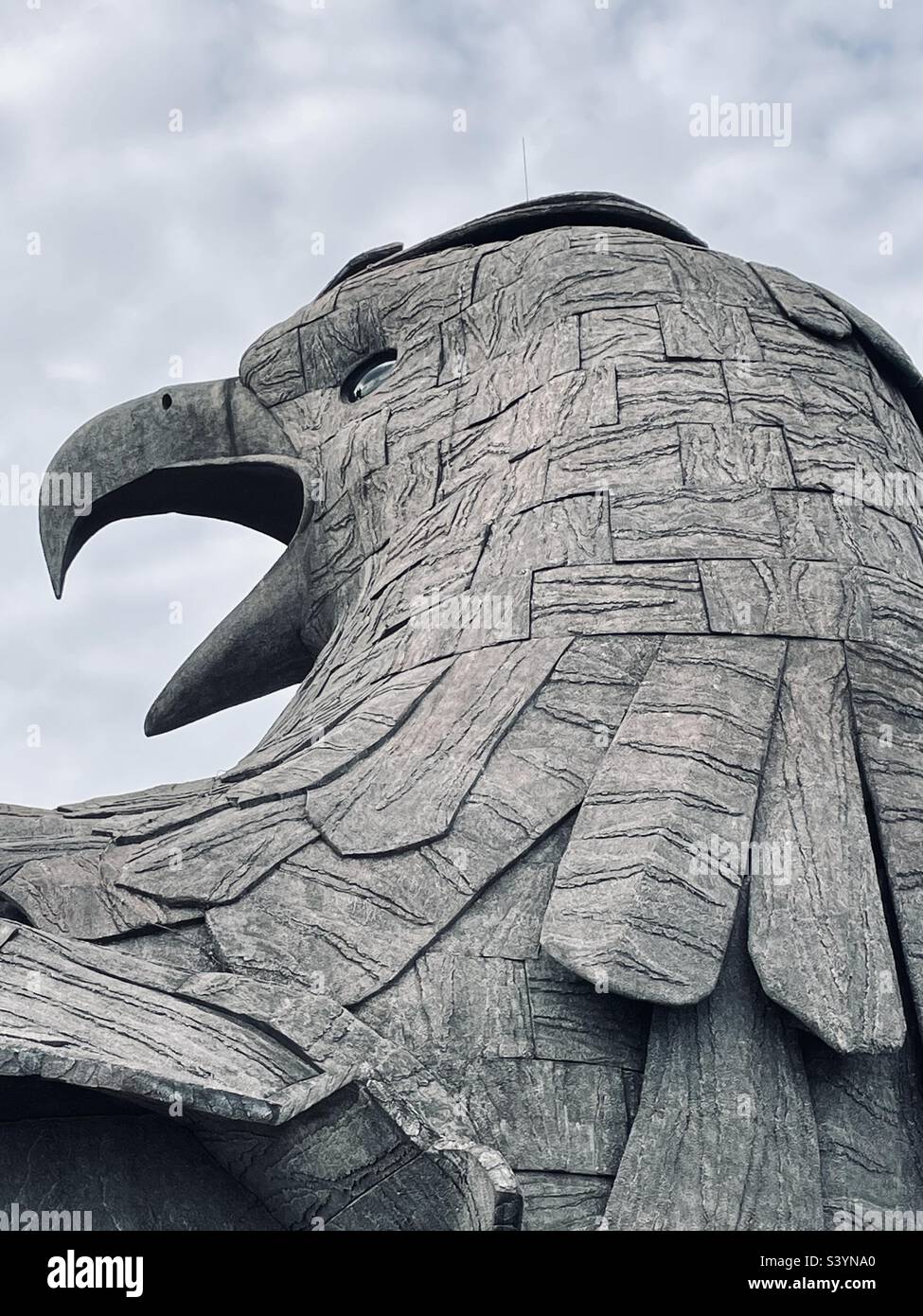 Jatayu bird hi-res stock photography and images - Alamy