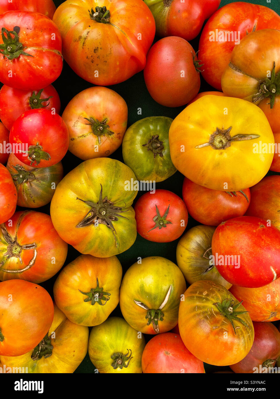 Heirloom colorful hi-res stock photography and images - Alamy