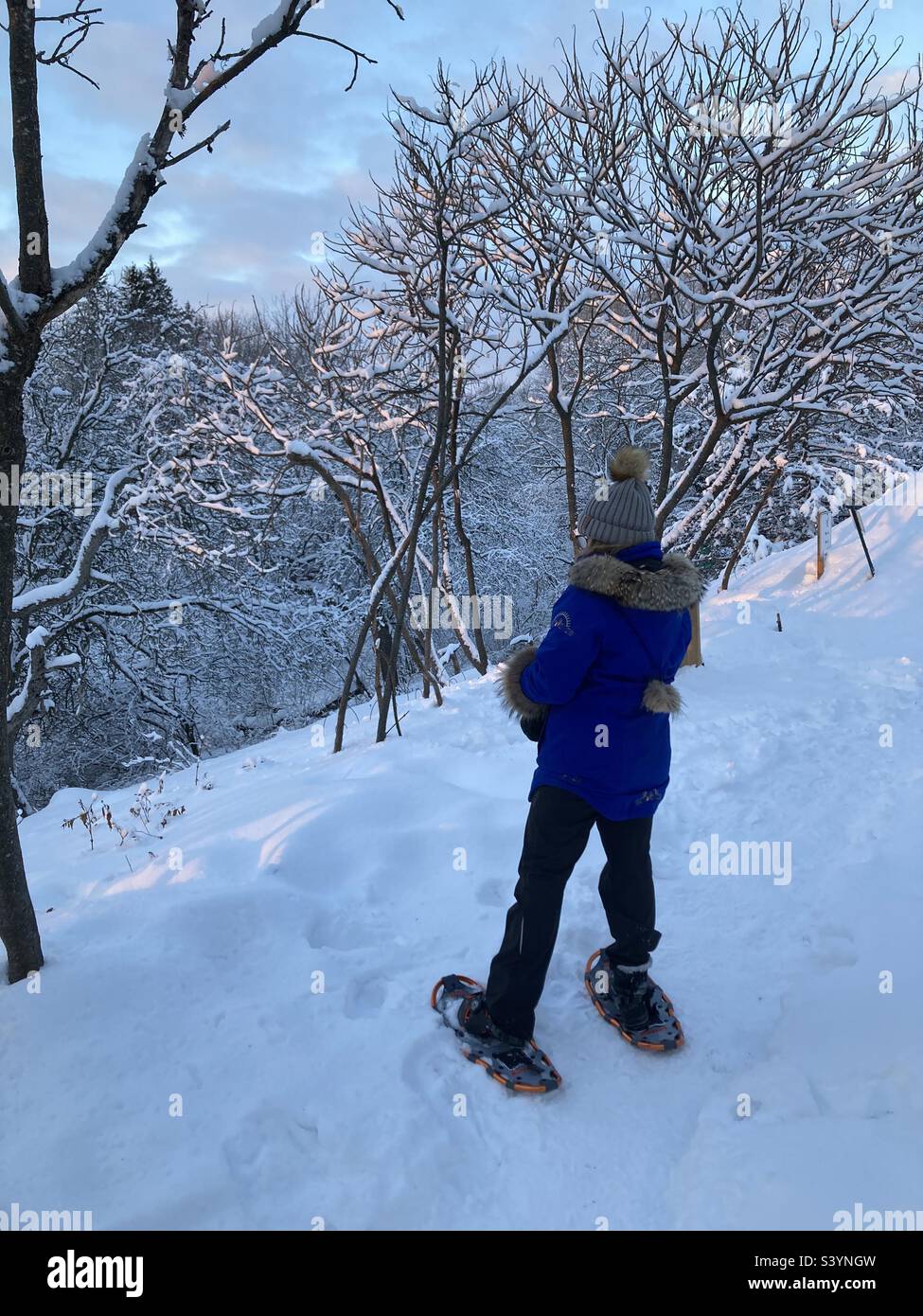 Early morning snowshoeing on a crisp clear day Stock Photo - Alamy