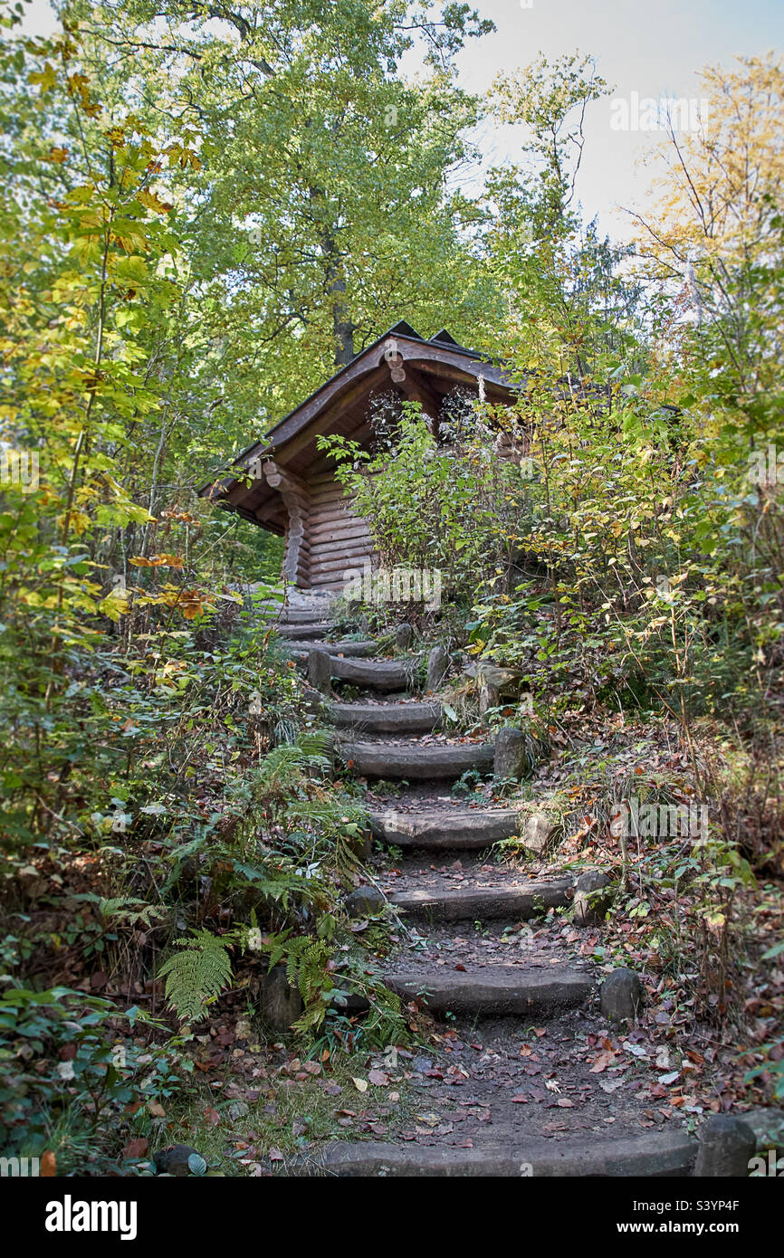 a path with steps made of wooden beams leads to a lonely hiker's hut in ...
