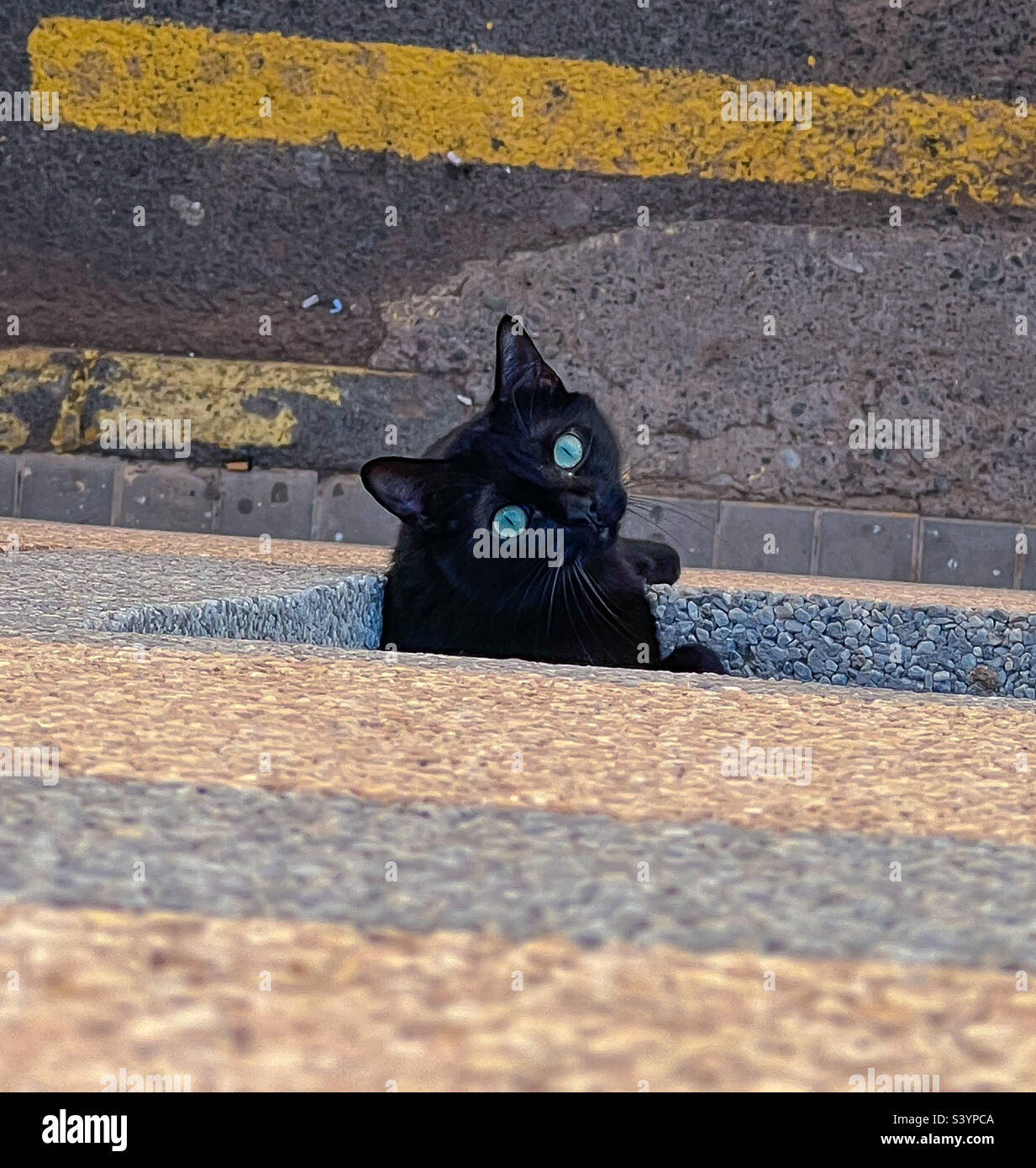 Mirada azul hi-res stock photography and images - Alamy