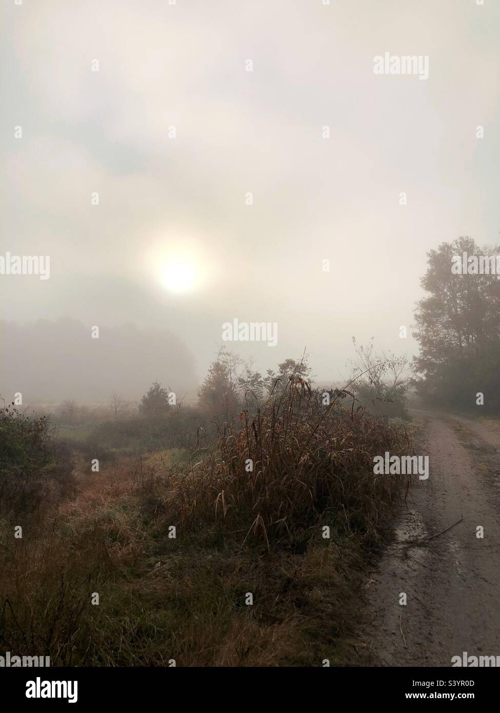 Misty, brown November morning on the farm- North Carolina Stock Photo ...