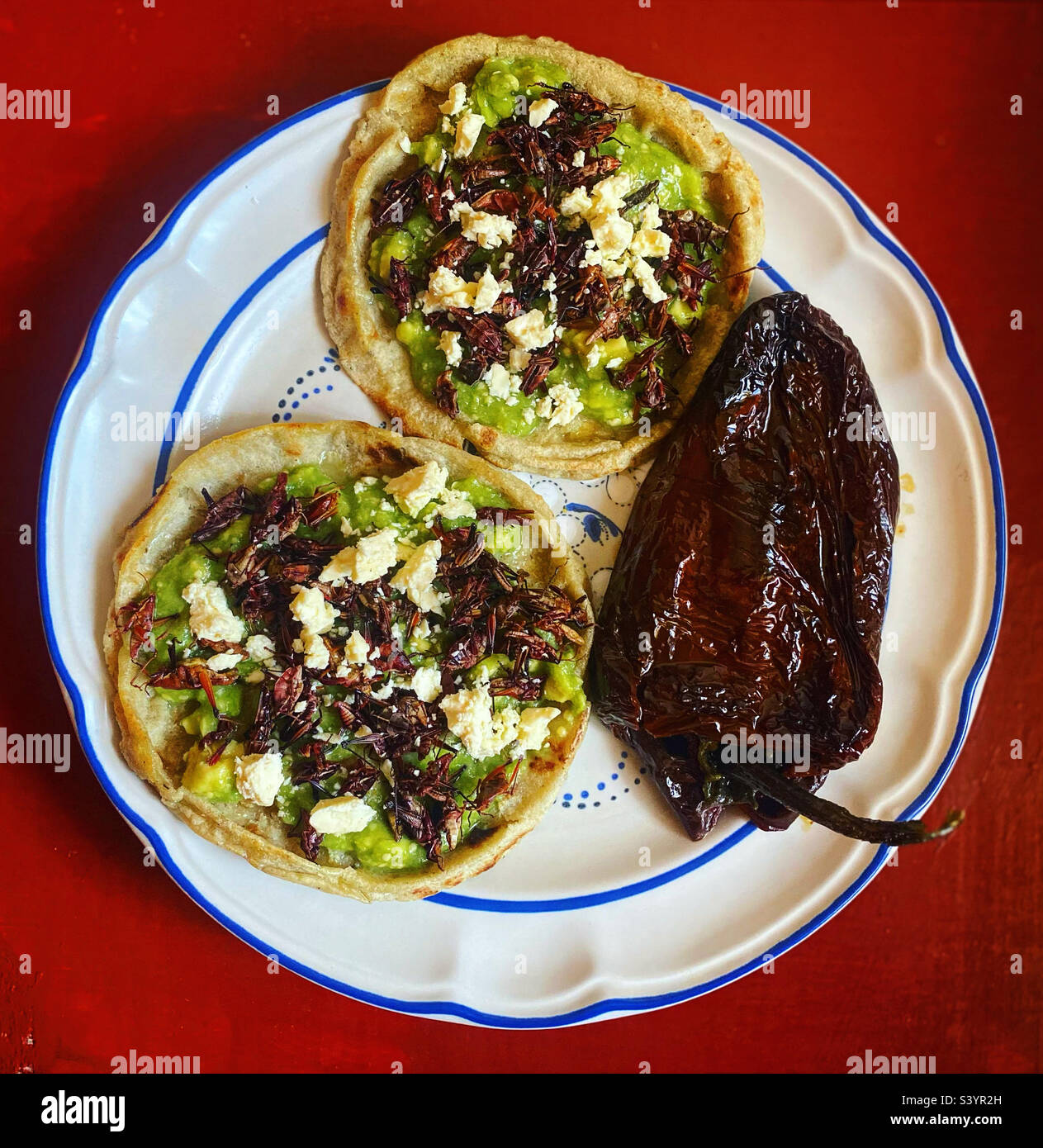 Two corn sopes with grasshoppers, cheese and avocados with a pasilla ...