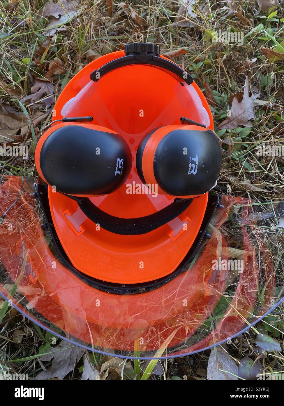 Smile! face pareidolia, the illusion of seeing a facial structure in an ...