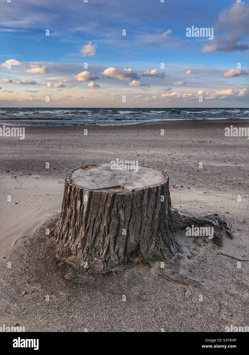 Stump sand hi-res stock photography and images - Alamy