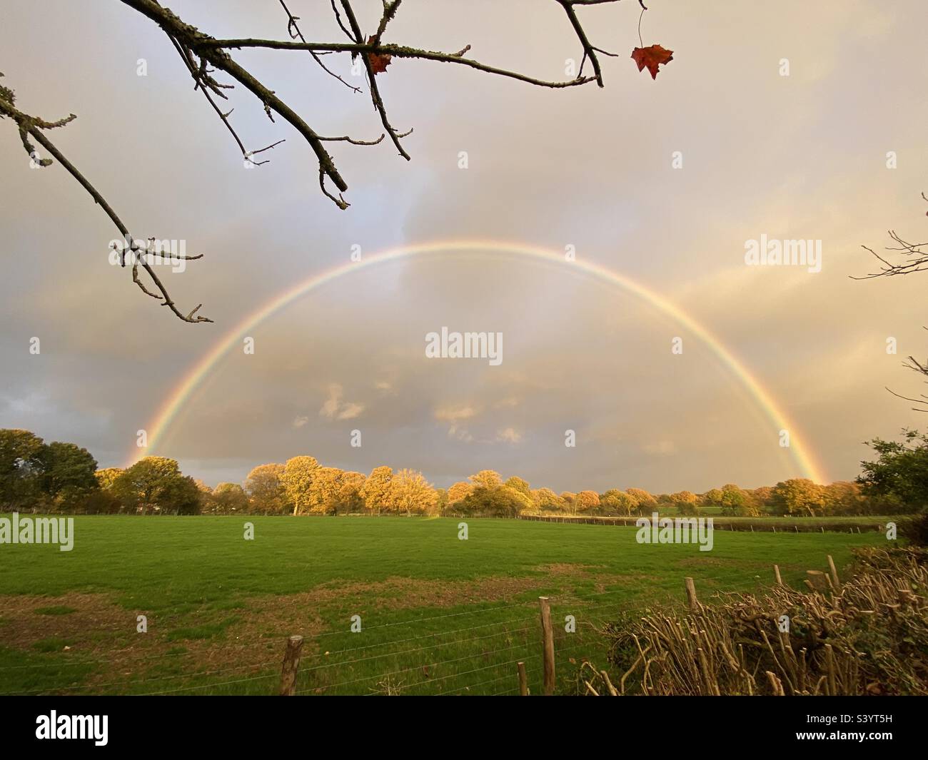 Full rainbow over field Stock Photo - Alamy
