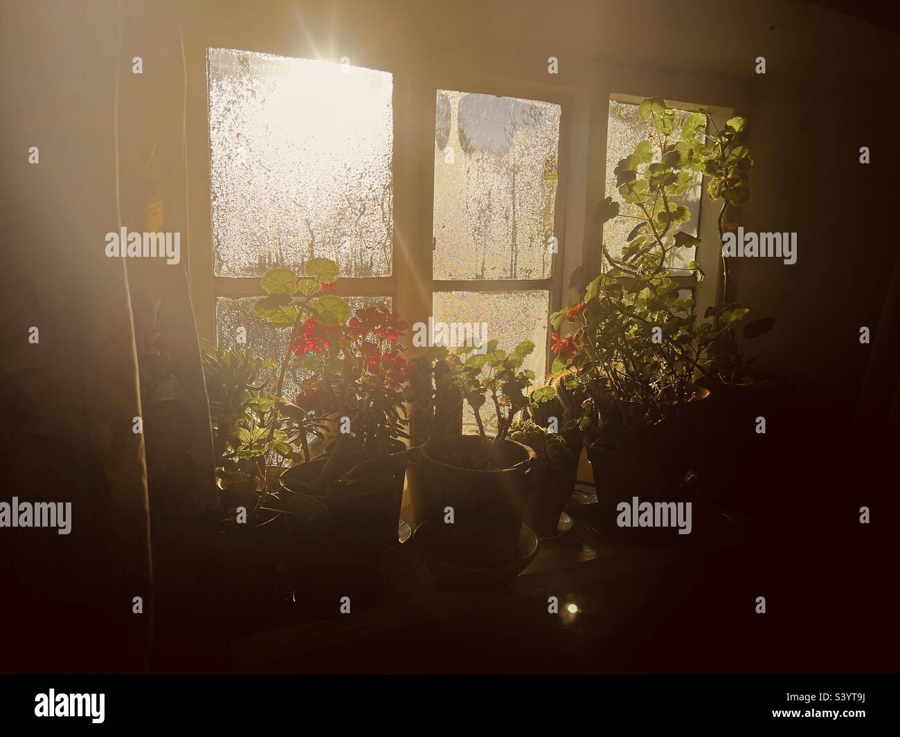 England cottage interior hi-res stock photography and images - Alamy