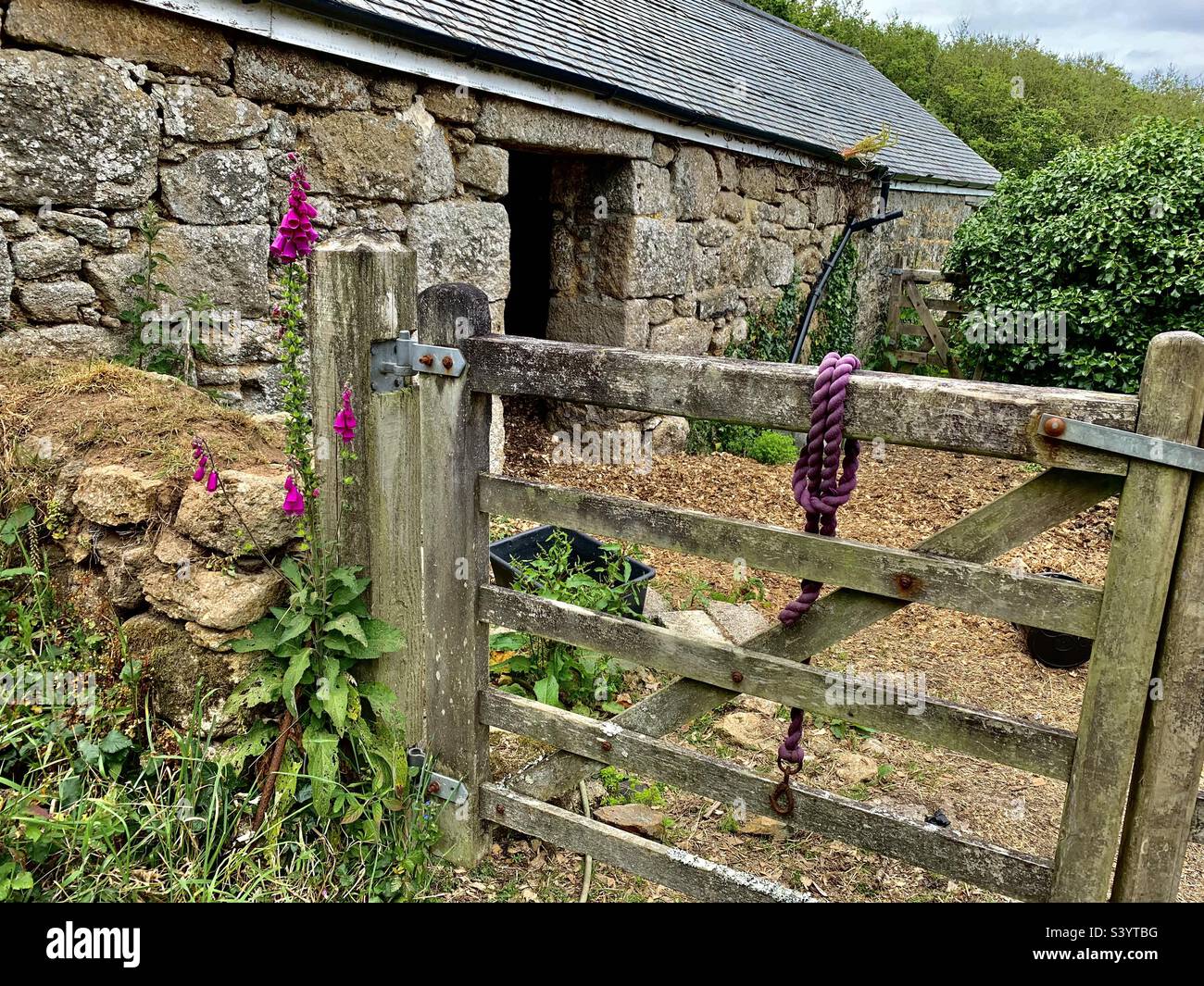 Gorgeous little stone stable with corrugated iron roof and simple ...