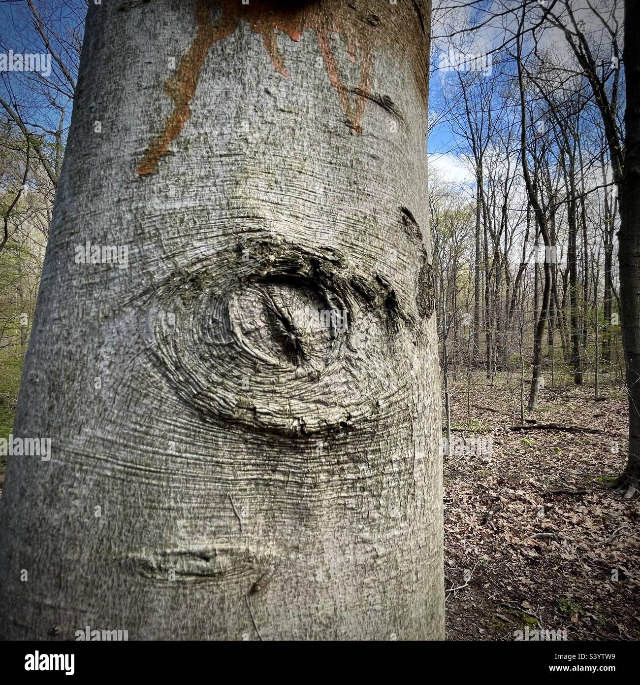 Eye shape hi-res stock photography and images - Alamy