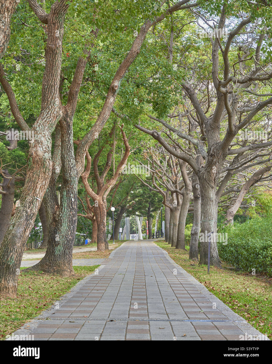 Track jogging hi-res stock photography and images - Alamy