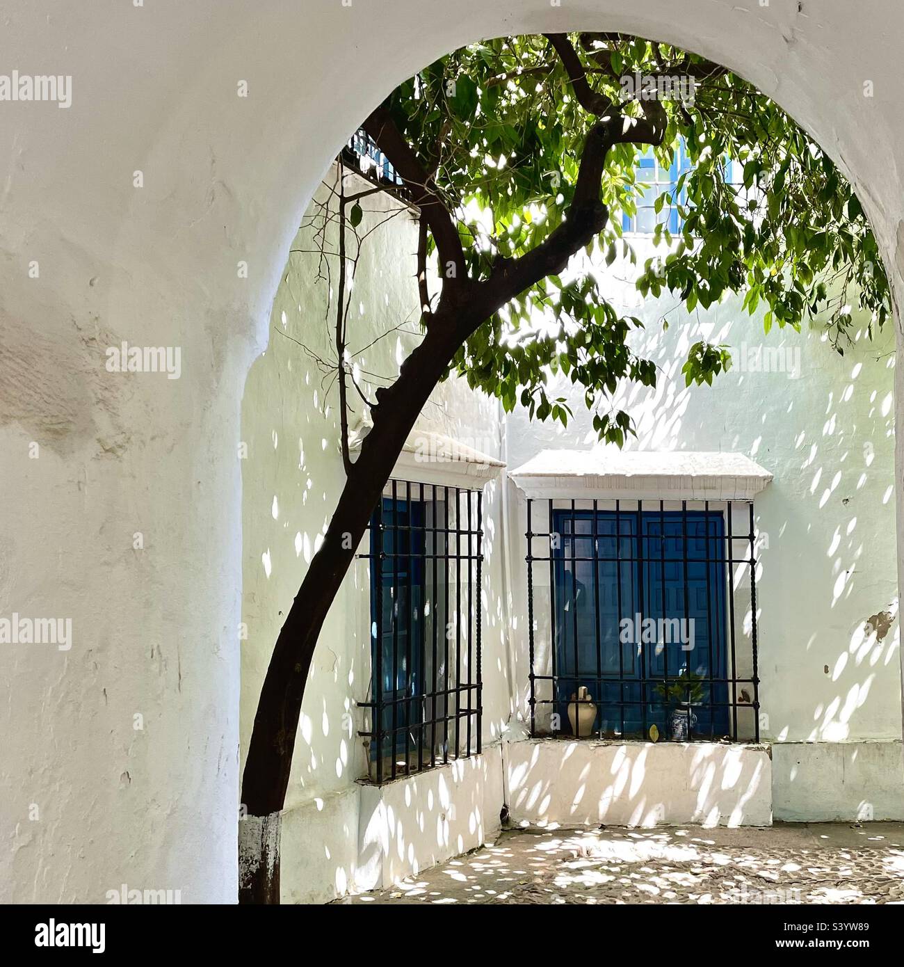 White courtyard with windows and tree Stock Photo - Alamy