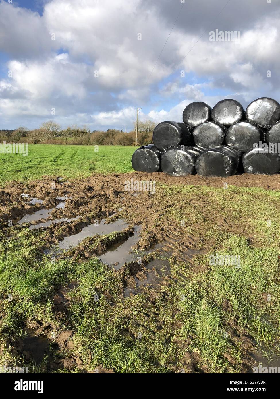 Muddy field hi-res stock photography and images - Alamy