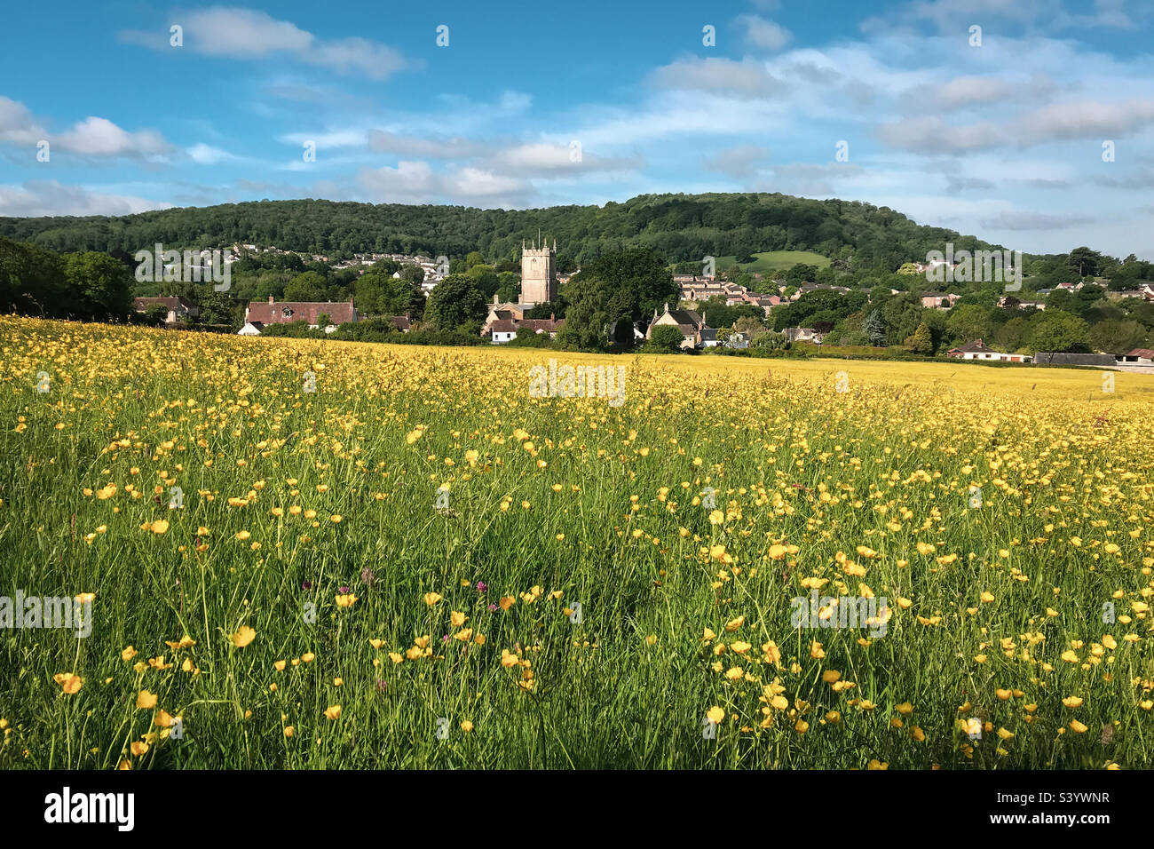A beautiful spring sunshine buttercups field landscape. Upper Cam ...