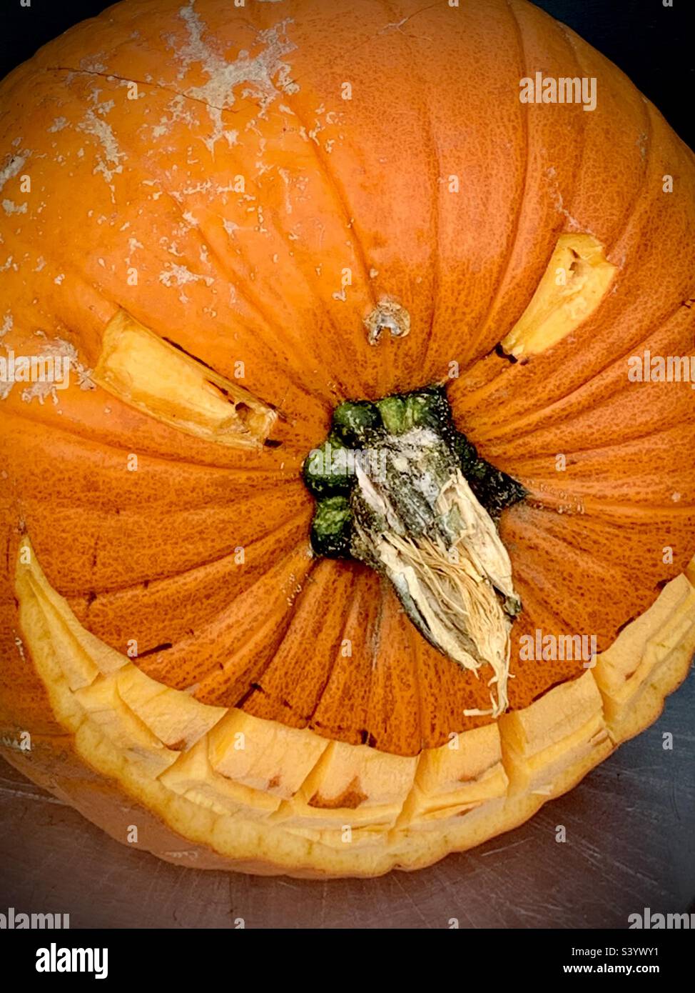 Scary squash hi-res stock photography and images - Alamy