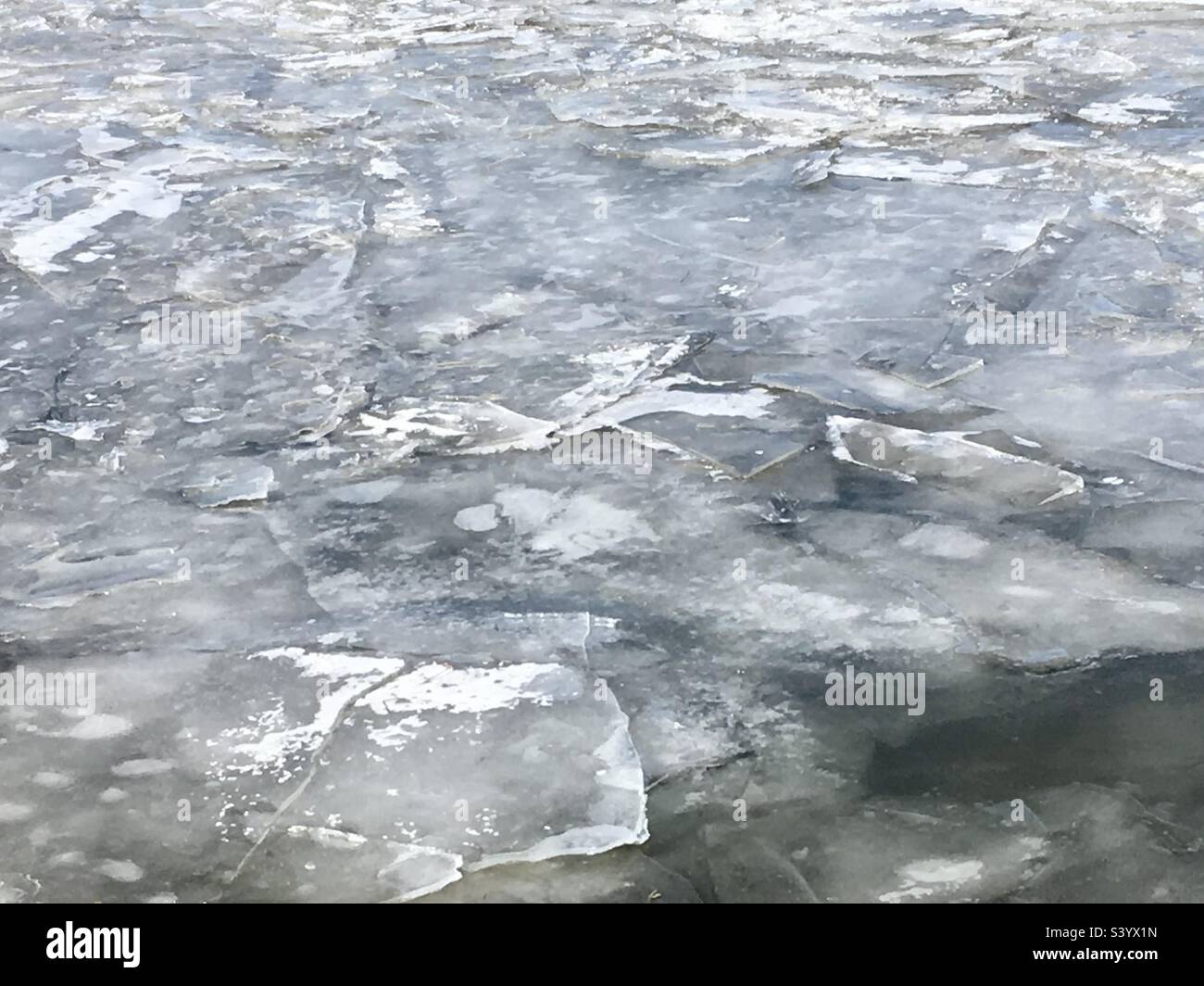 Ice chunks from a lake during winter in New England Stock Photo - Alamy