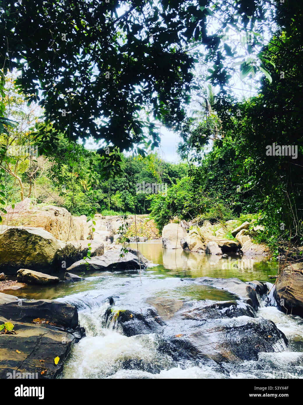 Enjoy nature hi-res stock photography and images - Alamy