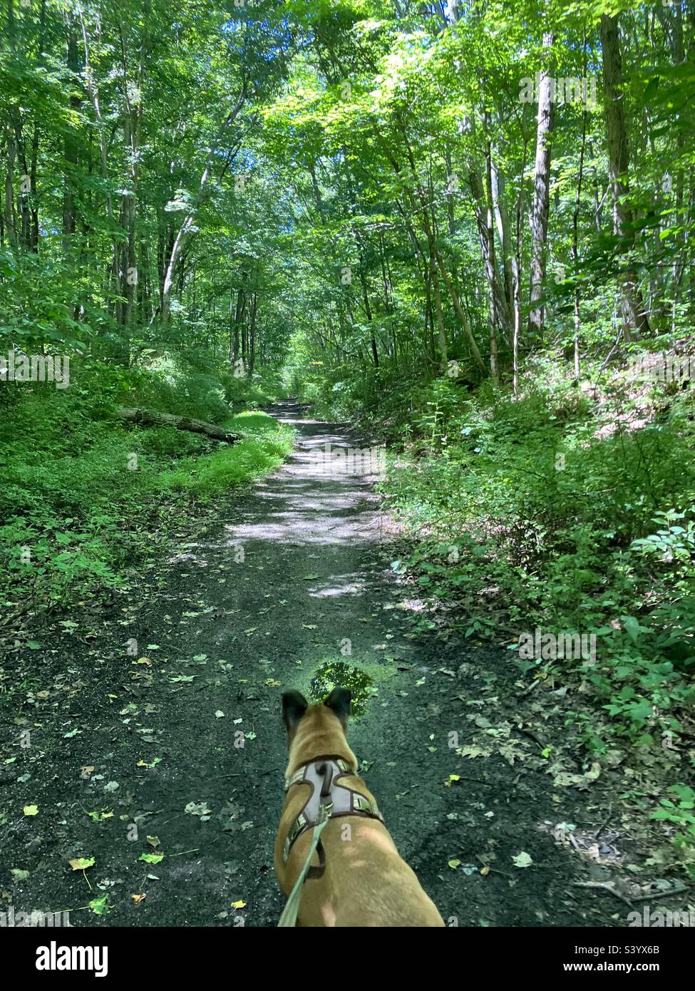 Long road ahead hi-res stock photography and images - Alamy