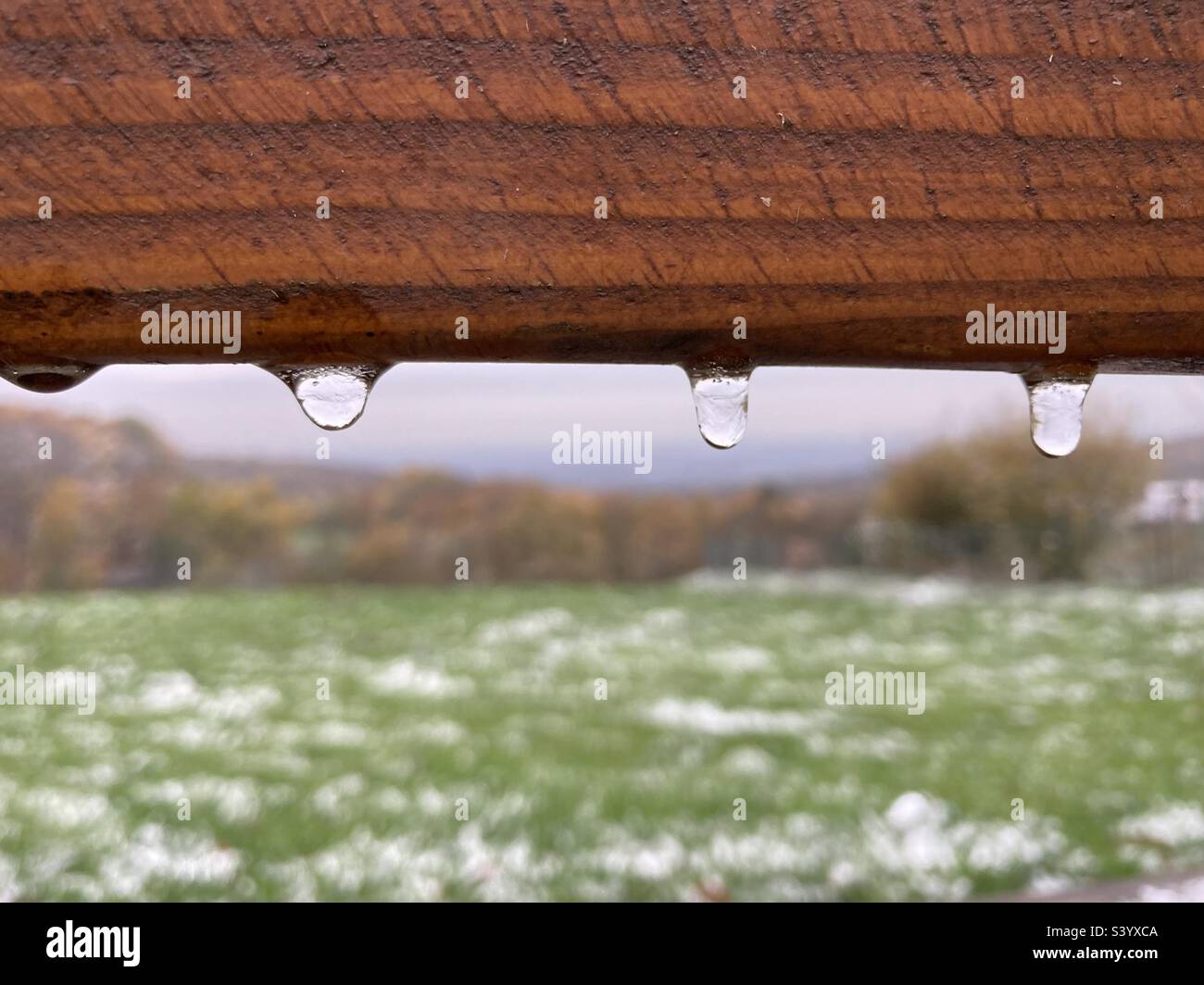 frozen drops hanging from a brown wooden board Stock Photo - Alamy