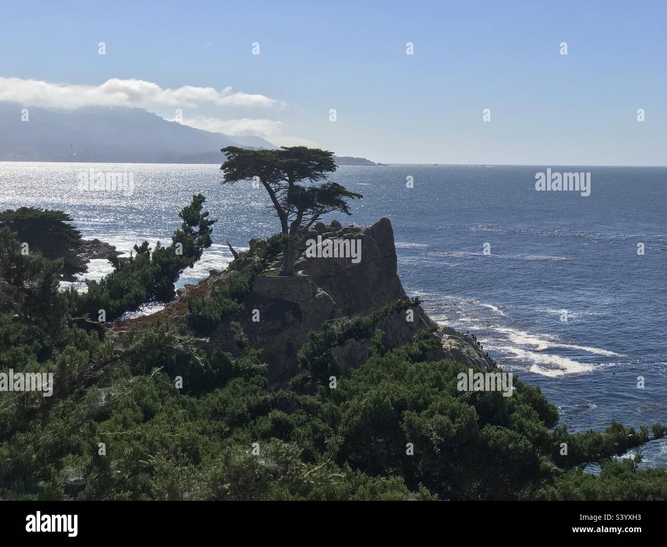 Lonely cypress tree hi-res stock photography and images - Alamy