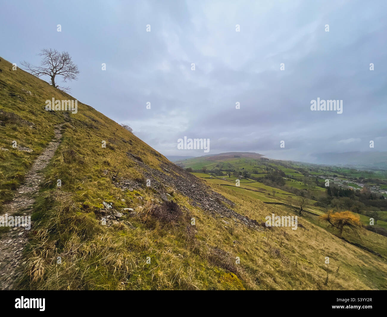 Dales lone tree not winskill not malham hi-res stock photography and ...