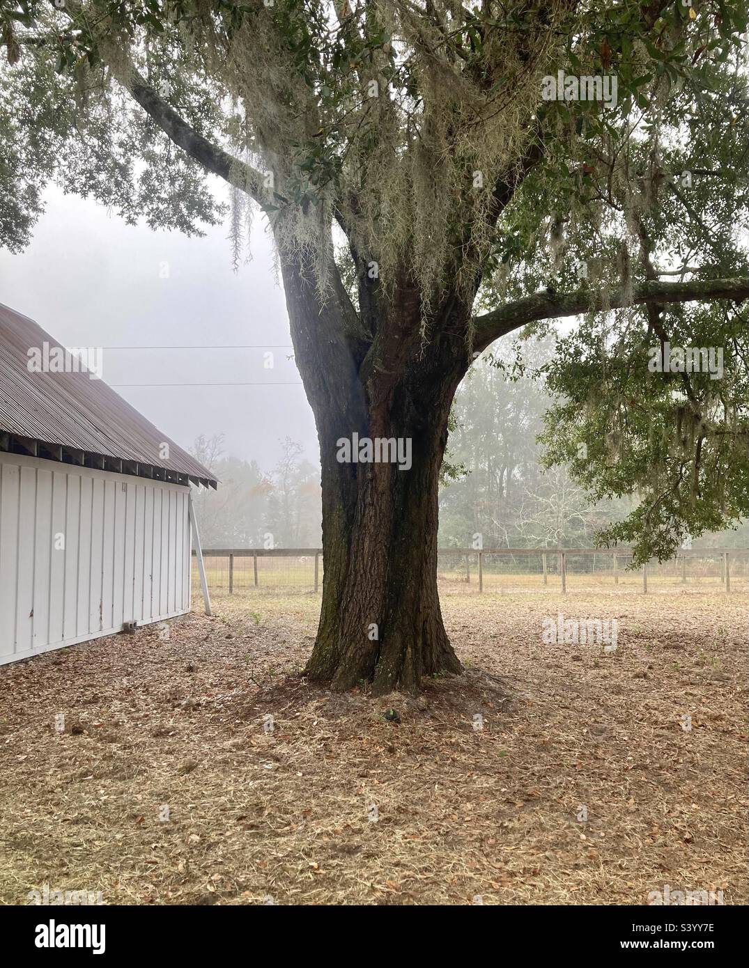 Oak barn hi-res stock photography and images - Alamy