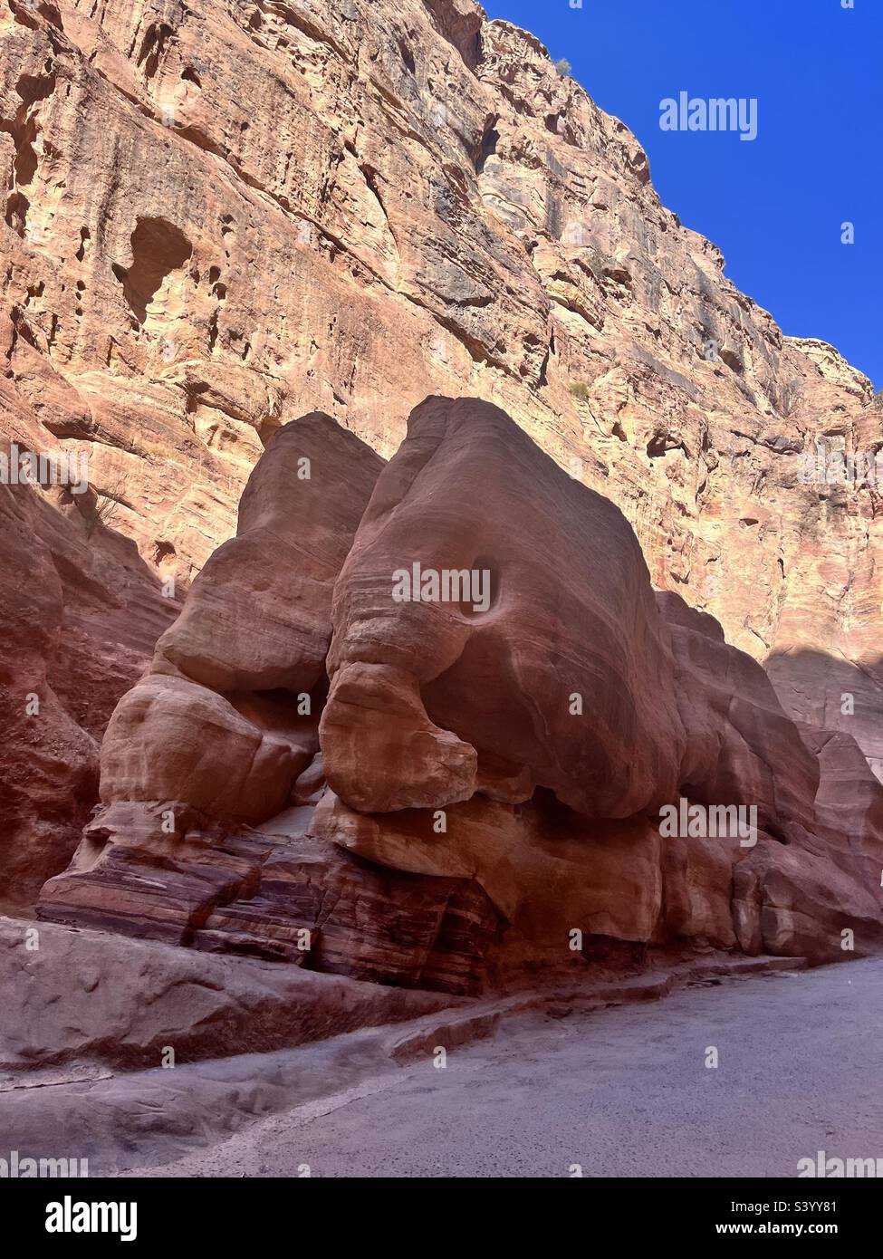 Betra hi-res stock photography and images - Alamy