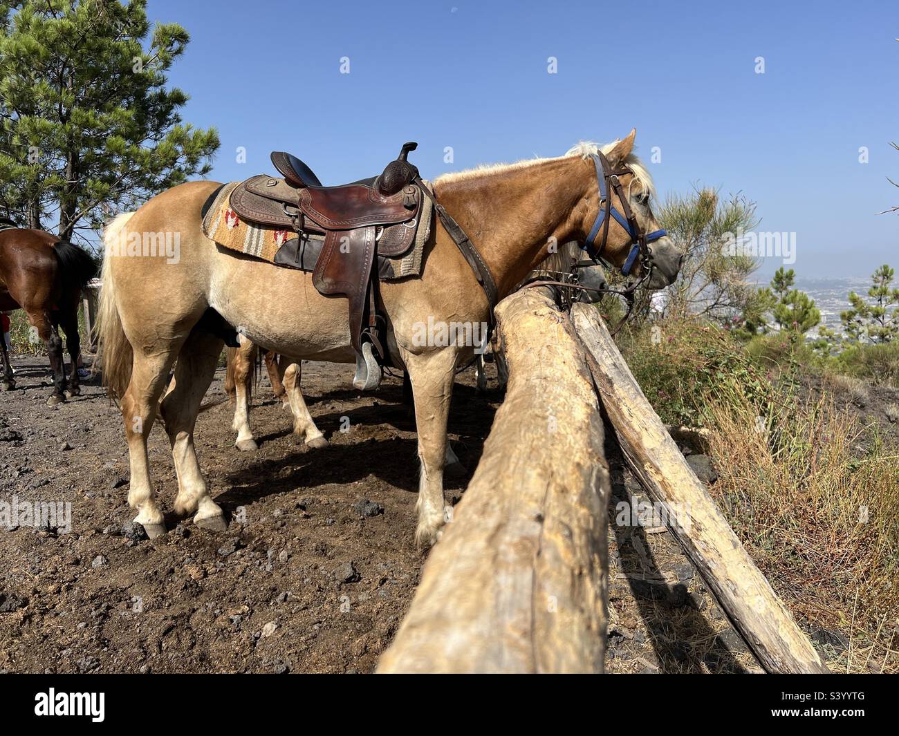 Naples ranch hi-res stock photography and images - Alamy
