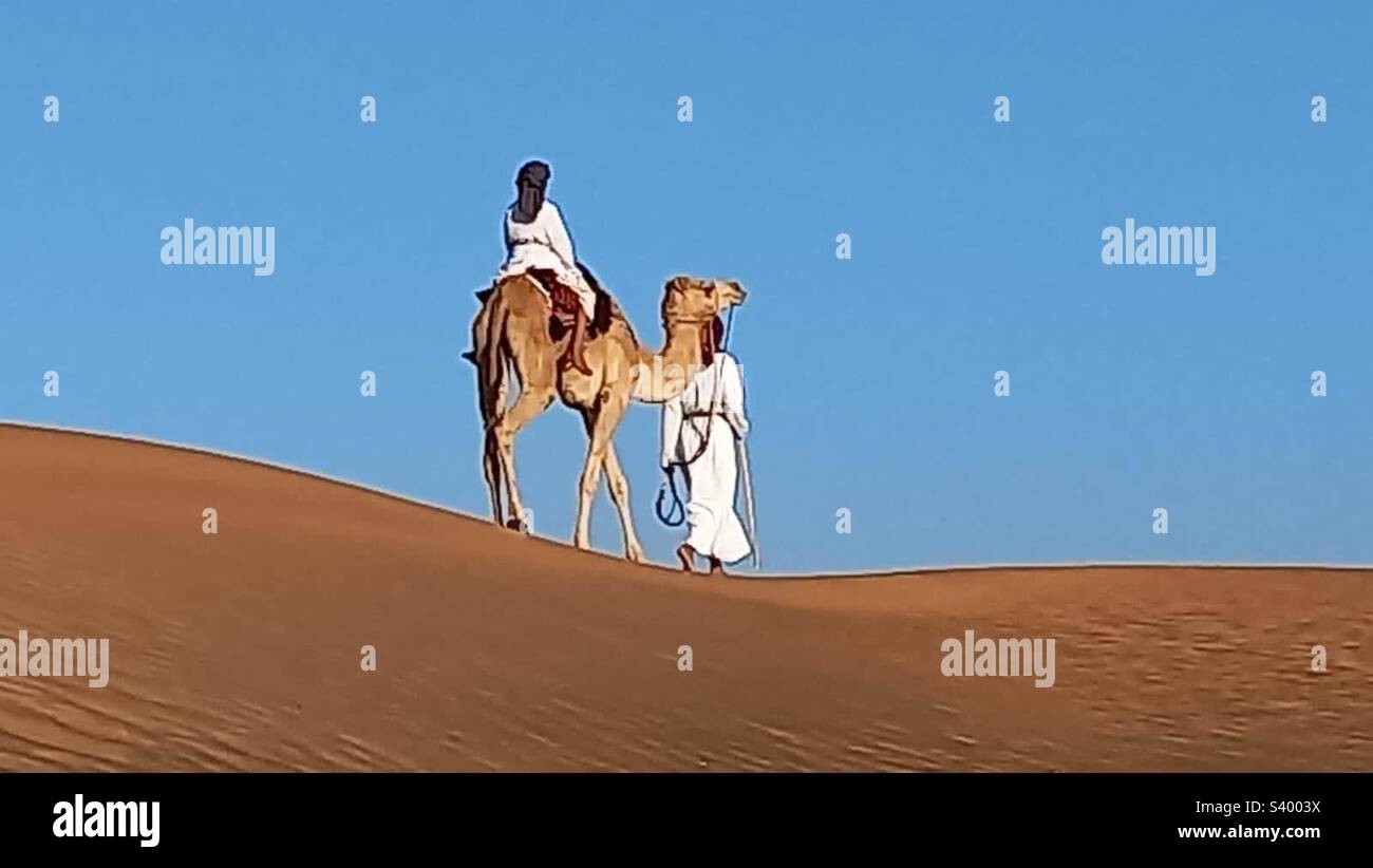 Boy leading a camel hi-res stock photography and images - Alamy