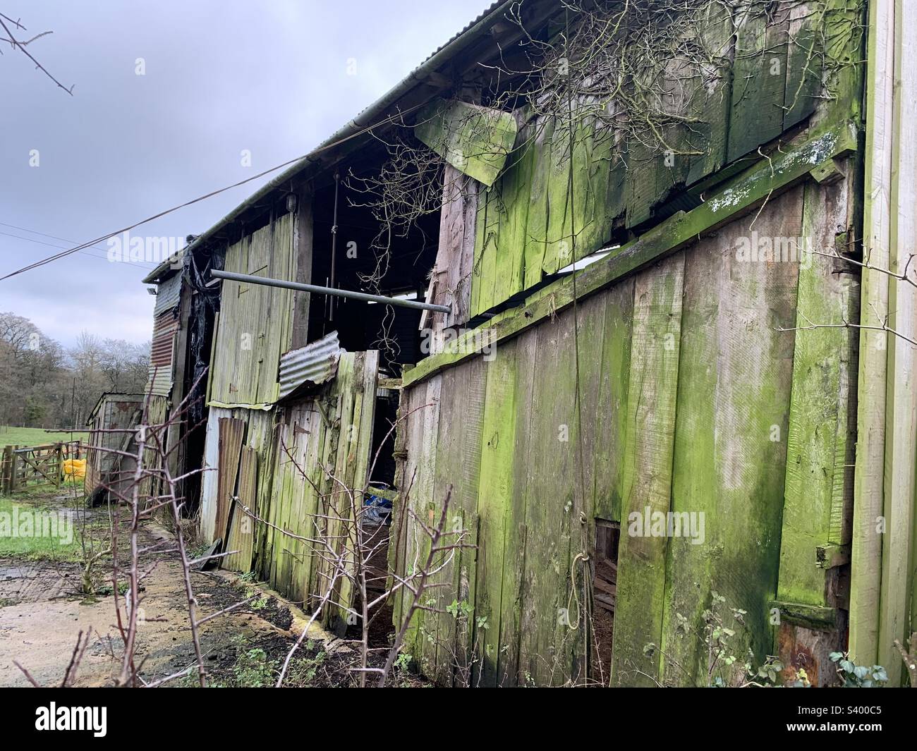 Falling down wooden barn in a farmyard, Somerset England during winter ...