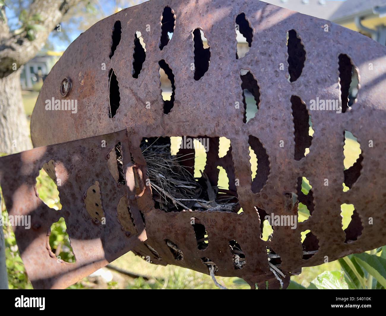 Metal bird nest hi-res stock photography and images - Alamy