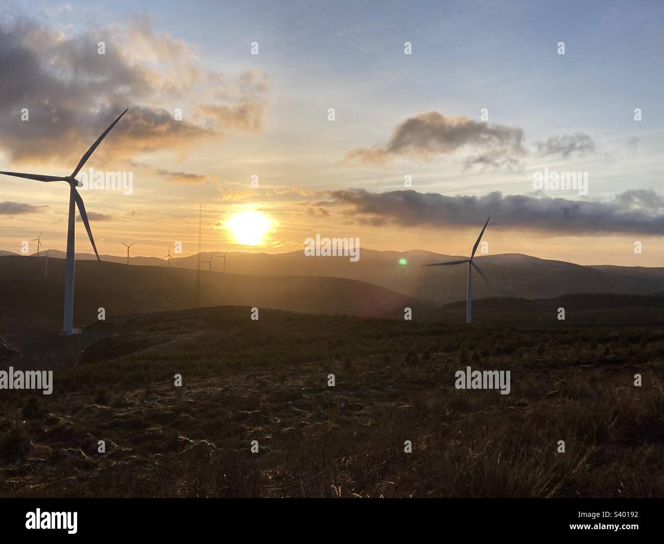 Summer sunset. Wind turbines Stock Photo - Alamy