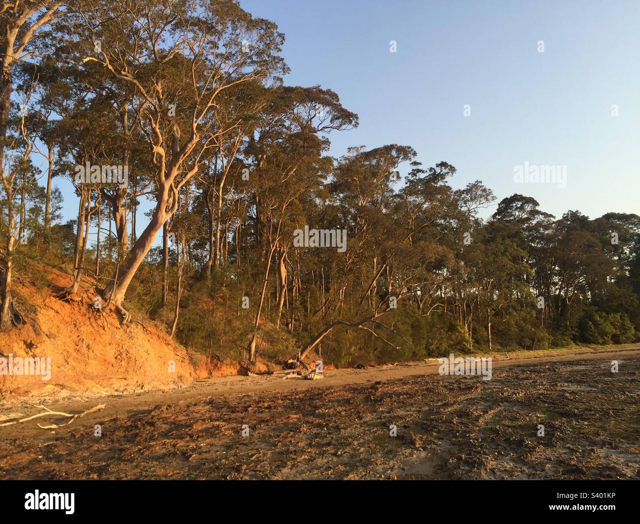 Nature australia hi-res stock photography and images - Alamy