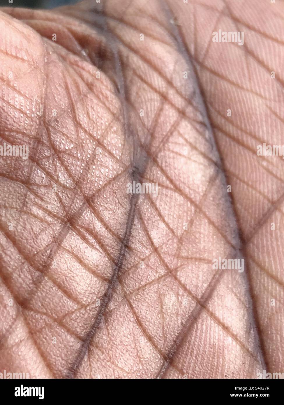 Human palm hi-res stock photography and images - Alamy