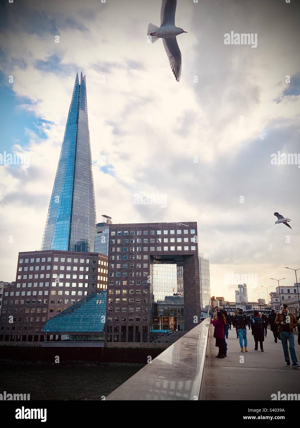 Birds london flying hi-res stock photography and images - Alamy