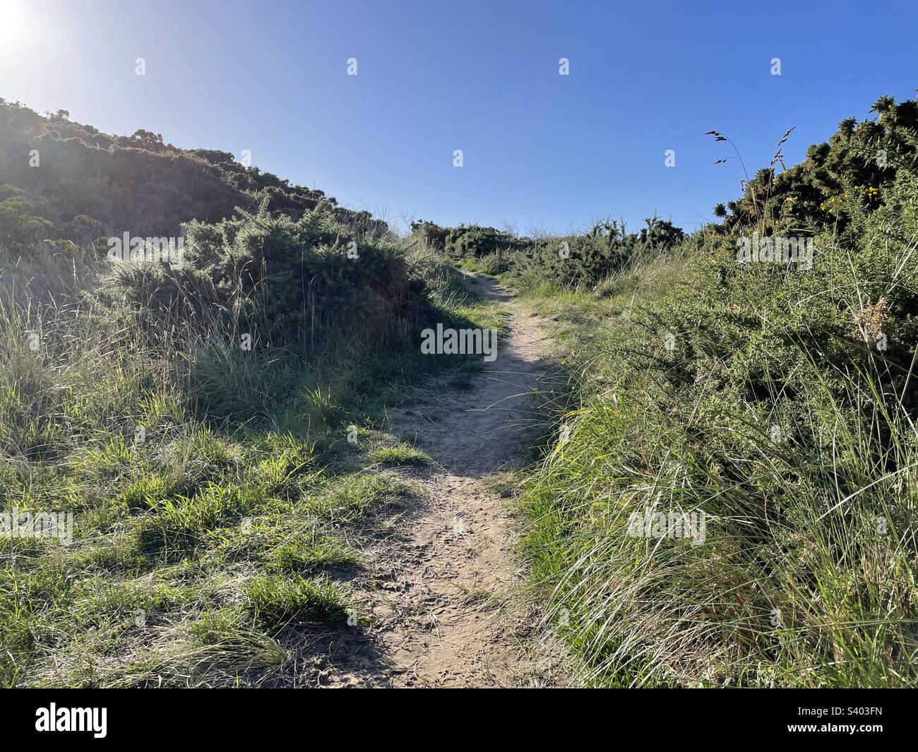 Moray coast trail hi-res stock photography and images - Alamy
